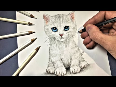 Comment Dessiner Un Chaton Mignon - Esam Solidarity