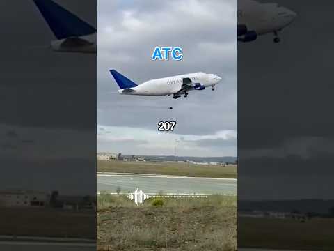 Rogue Wheel TARGETS Spirit Plane 💀