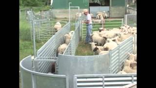 Two-Way Sort Gate - Premier1Supplies