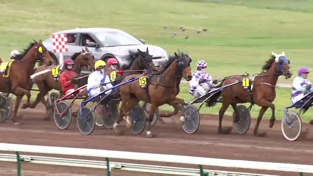 LA COURSE - Etape #2 : MARSEILLE-BORELY - Grand National du Trot 2023 - Gaspar d'Angis