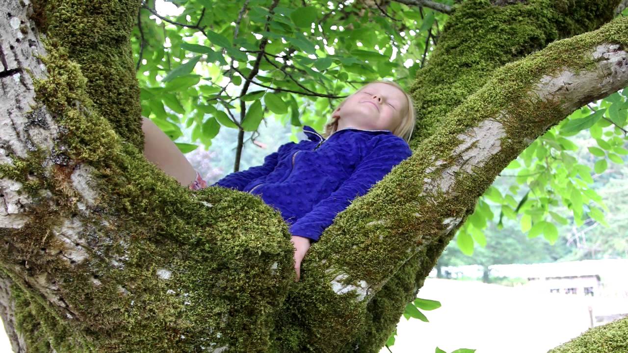 Why Forests Matter 2015: Dr. Joe Vipond