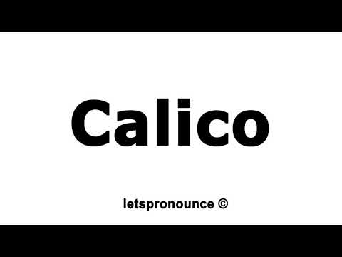 How to Pronounce Calico