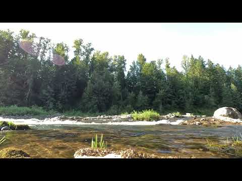 1hr of Clackamas River @Milo McIver State Park, Estacada OR #2024