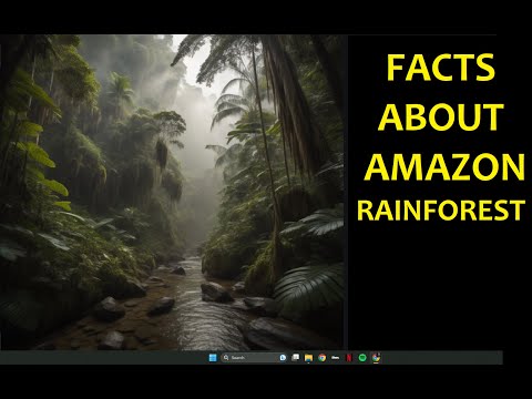 The Enchanting Amazon Rainforest | Nature's Masterpiece Explored