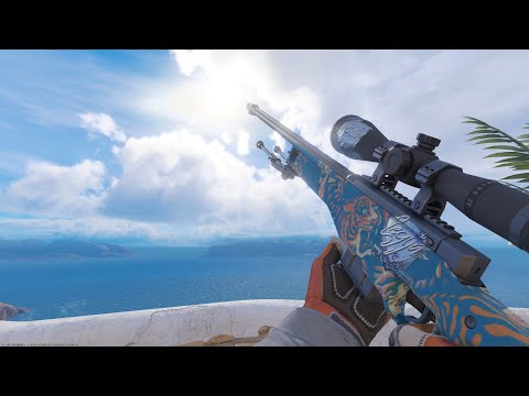 Steam Community :: Video :: AWP | Silk Tiger Tier 1 Pattern FN w LEGIJA ...