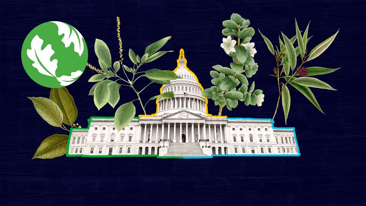 Policy makes conservation possible