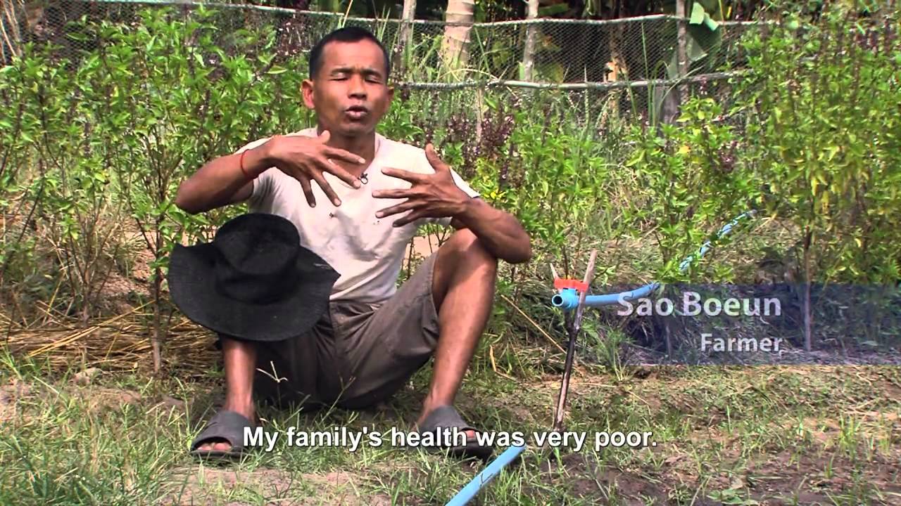 UNDP Weathering the Storm (Full Video)