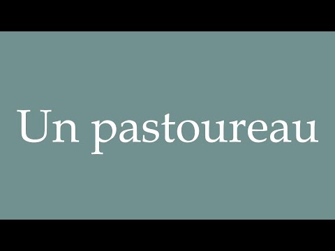 How to Pronounce ''Un pastoureau'' (A purse) Correctly in French