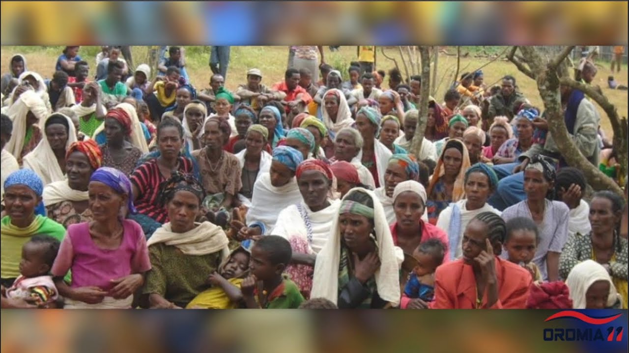 OROMIA11: Oduu 10-23-2023