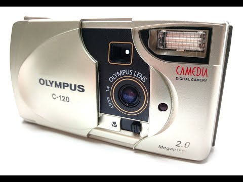 C120 Form - Printable Blank PDF Online