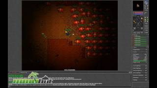 98 Games Like Tibia – Games Like