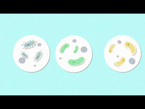 Exploring Molecular Biology - Key Concepts and Techniques