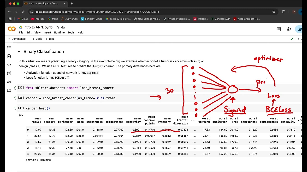 Intro to Binary Classification with PyTorch