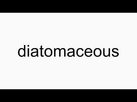 How to pronounce diatomaceous