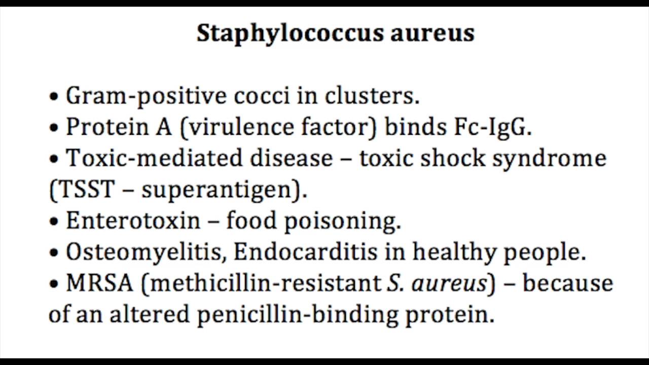 Staphylococcus aureus [Highly Tested Topic]