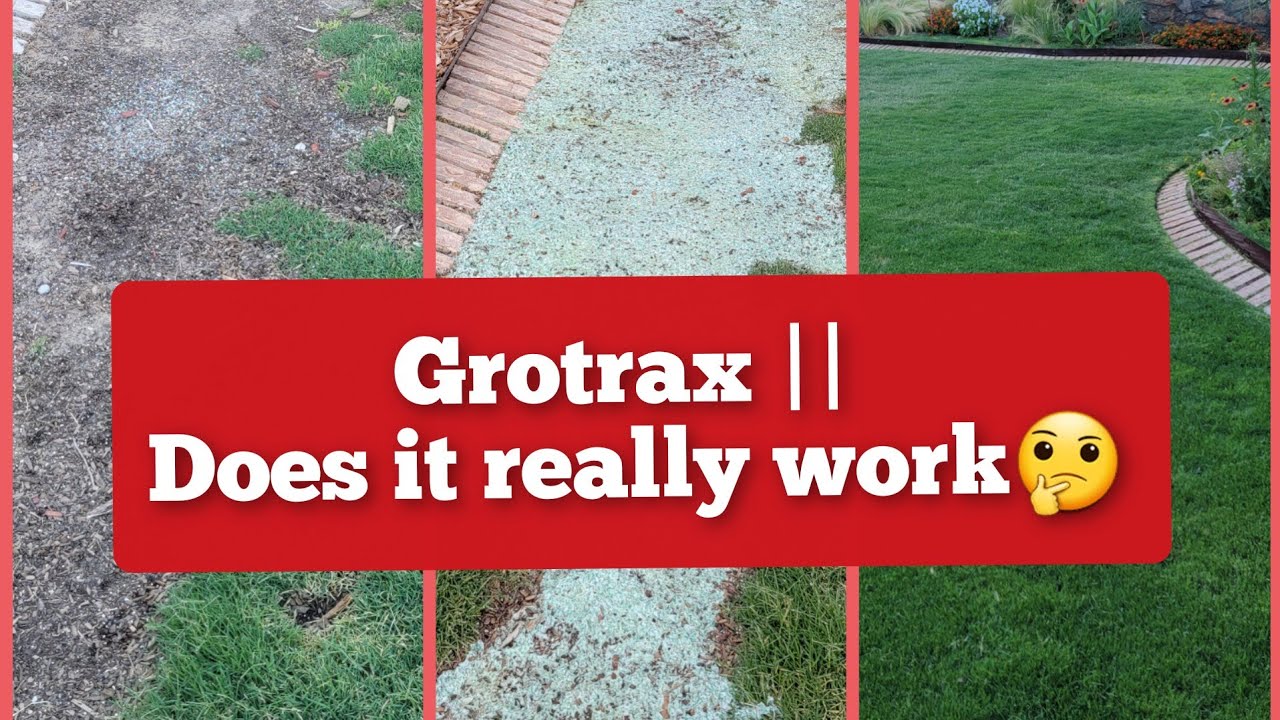 GROTRAX || UPDATE                                DOES IT REALLY WORK?!?!