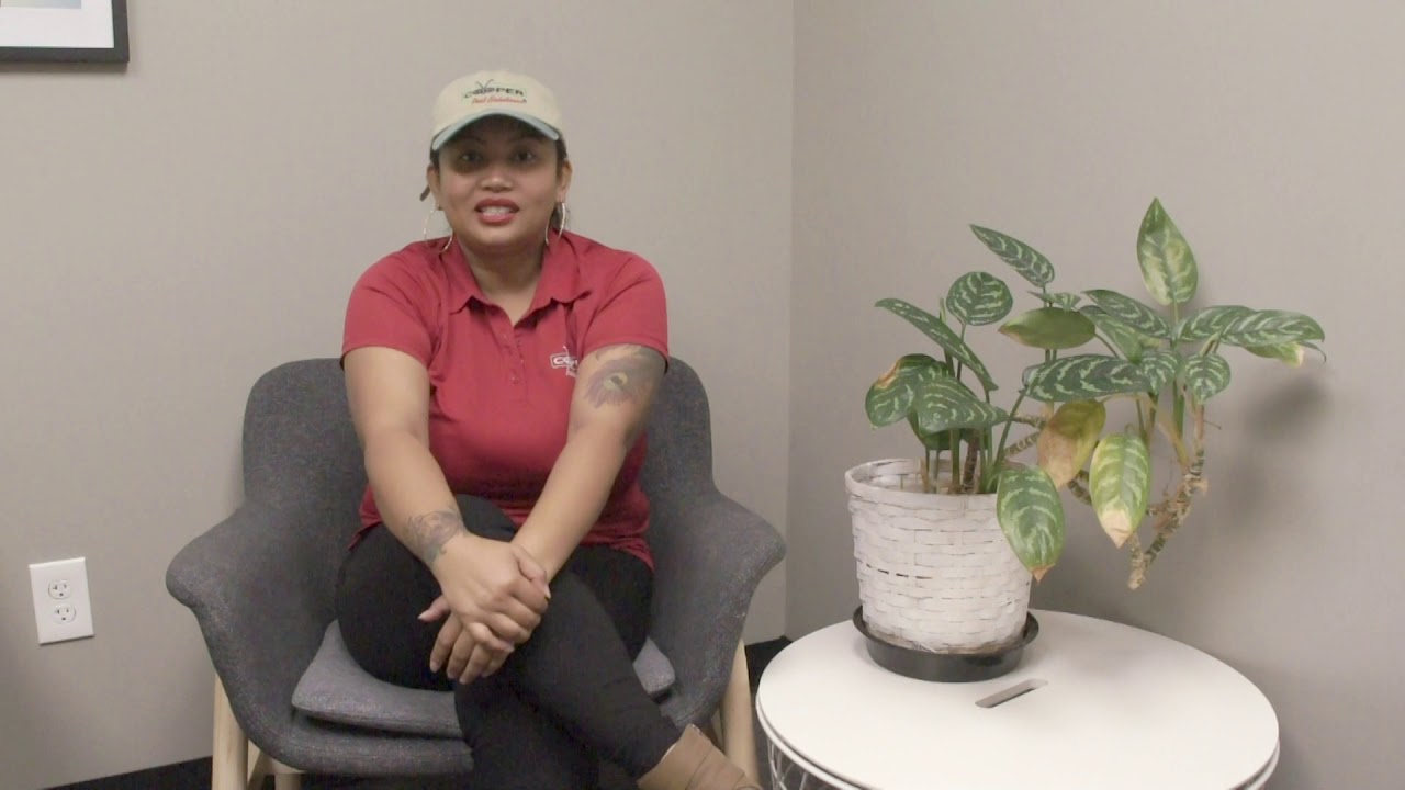 Bed Bug Exterminator Hamilton NJ | Cooper Pest Solutions