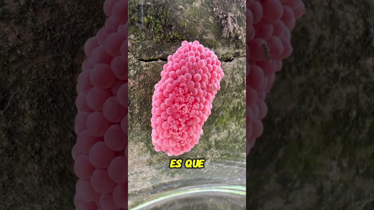 What seemed cruel ended up being a necessary act