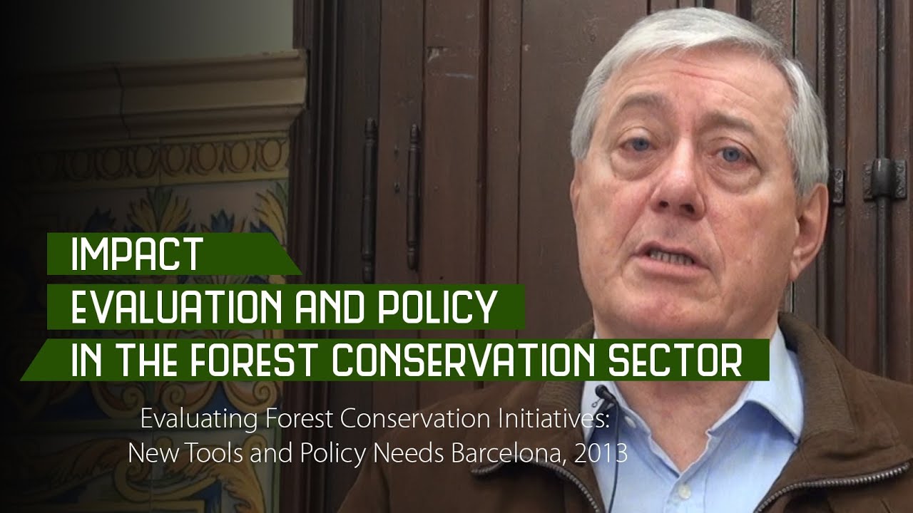 Impact evaluation and policy in the forest conservation sector