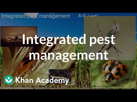 Integrated pest management (video) | Khan Academy