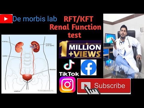 RFT|Renal Function Testin urdu|kft|kidney function test in urdu|Osmoregulation