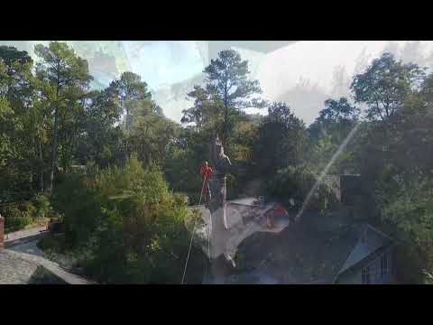 what is an arborist?