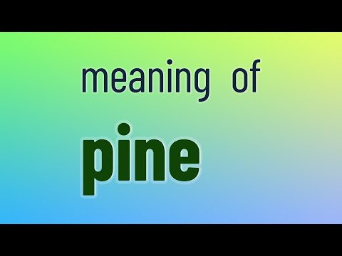Pine - 78 English Vocabulary Flashcards