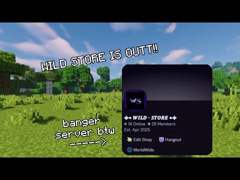 Best editor shop server.