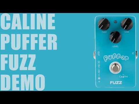 Caline The Puffer 2022 Fuzz pedal | Reverb