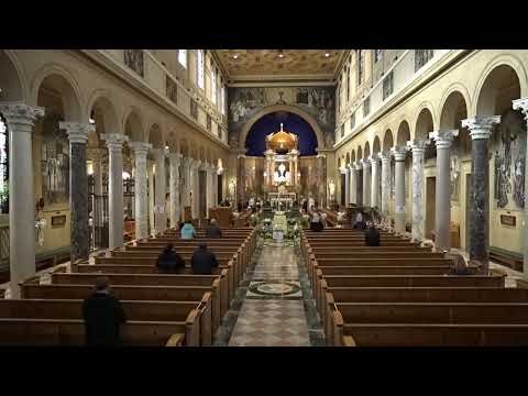 Kolbe Shrine Live Stream