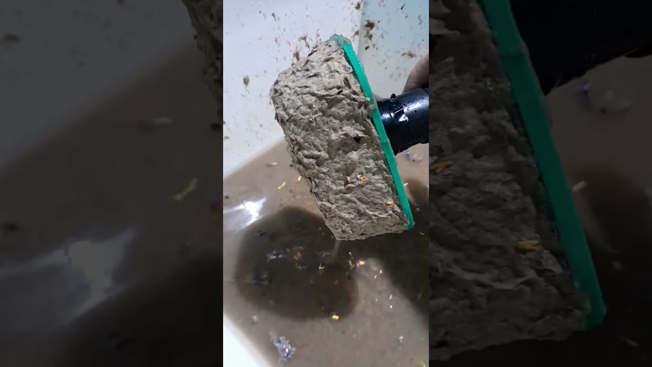 DIY paper pulp food containers. environmentally friendly