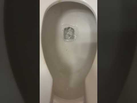 American Standard Madera Toilet At Golden Corral