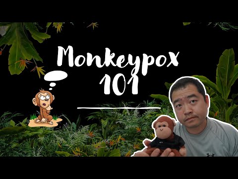 Monkeypox Outbreak 2022 | What's happening? All you need to know in 7 minutes | Monkeypox 101
