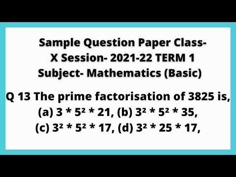 The prime factorisation of 3825 is basic maths sample paper term 1