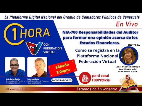 NIA-700 Responsabilidades del Auditor para formar una opinión acerca de los Estados Financieros.