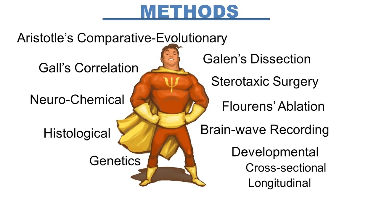 Neuroscience Methods: What You Need To Know