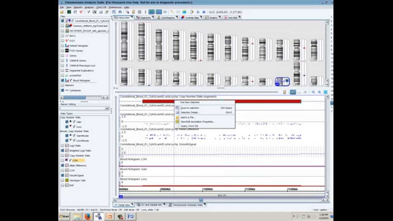 ChAS Reporting in DOCX