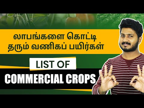Cash Crops in Tamilnadu -வணிக பயிர்கள் என்றால் என்ன ? #tamil #farming #cashcrops #Commercialcrops
