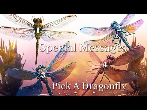 ✨Special Messages | Pick A Dragonfly