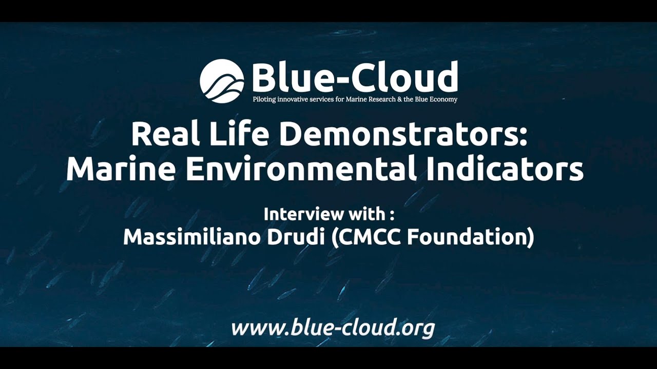 Blue-Cloud demonstrators: Marine Environmental Indicators