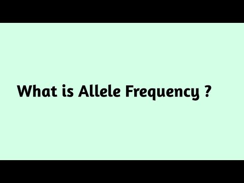 What is Allele Frequency ?