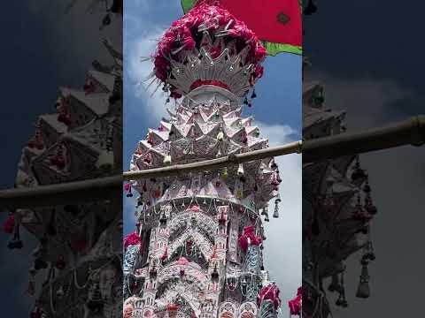 Muharram ka tajiya || Muharram ka tajiya WhatsApp Status || muharram ka rath yatra ||bardhi bajaar