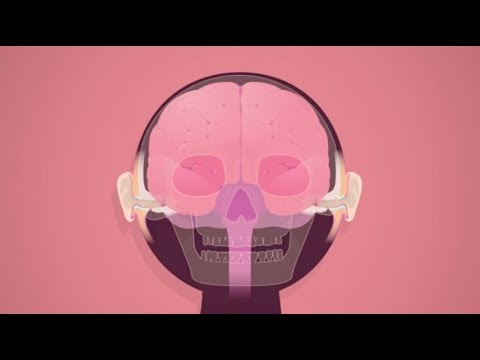 Sensation and Perception psych 101 A