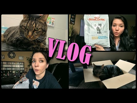 VLOG: June 7th-13th | Back to the ER, Test Results, & Trying a New Diet.