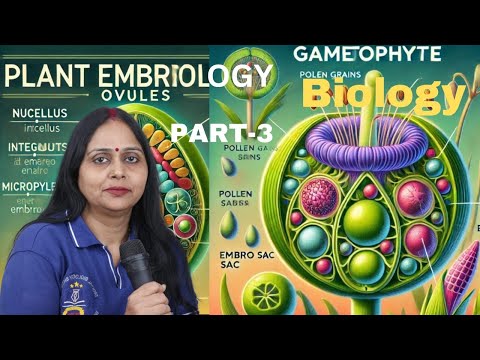 Plants Embryology I Sexual Reproduction In Flowering Plants I Class 12th Biology I NEET I Ovules