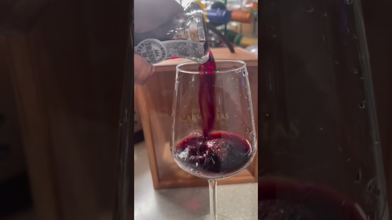 Me and the hubby love trying new wines #viral #shorts #subscribe #wine