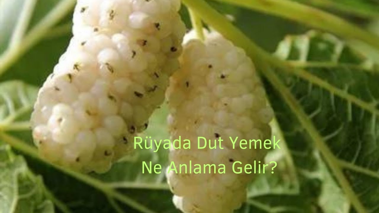 Rüyada Dut Yemek Ne Anlama Gelir