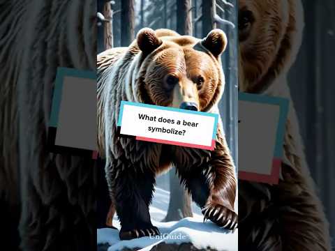 What does a bear symbolize?