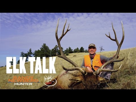 (Hunting Elk) ELK TALK - All things elk hunting