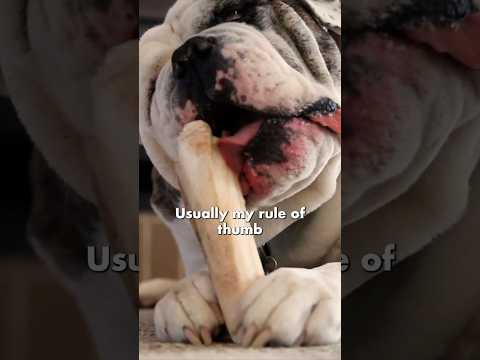 How to choose marrow bones for your dog and avoid a trip to the veterinarian #doghealth